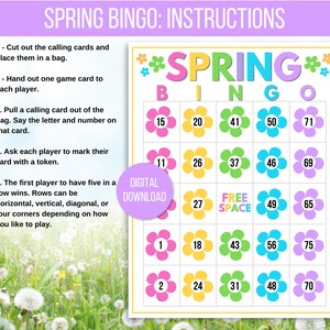Spring Bingo, 100 Spring Bingo Cards, Spring Carte Bingo, Spring ...