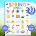 Spring Bingo, 30 Printable Spring Bingo Cards, Spring Party Game ...