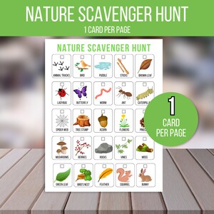 Nature Scavenger Hunt for Kids, Outdoor Nature Scavenger Hunt, Hike ...