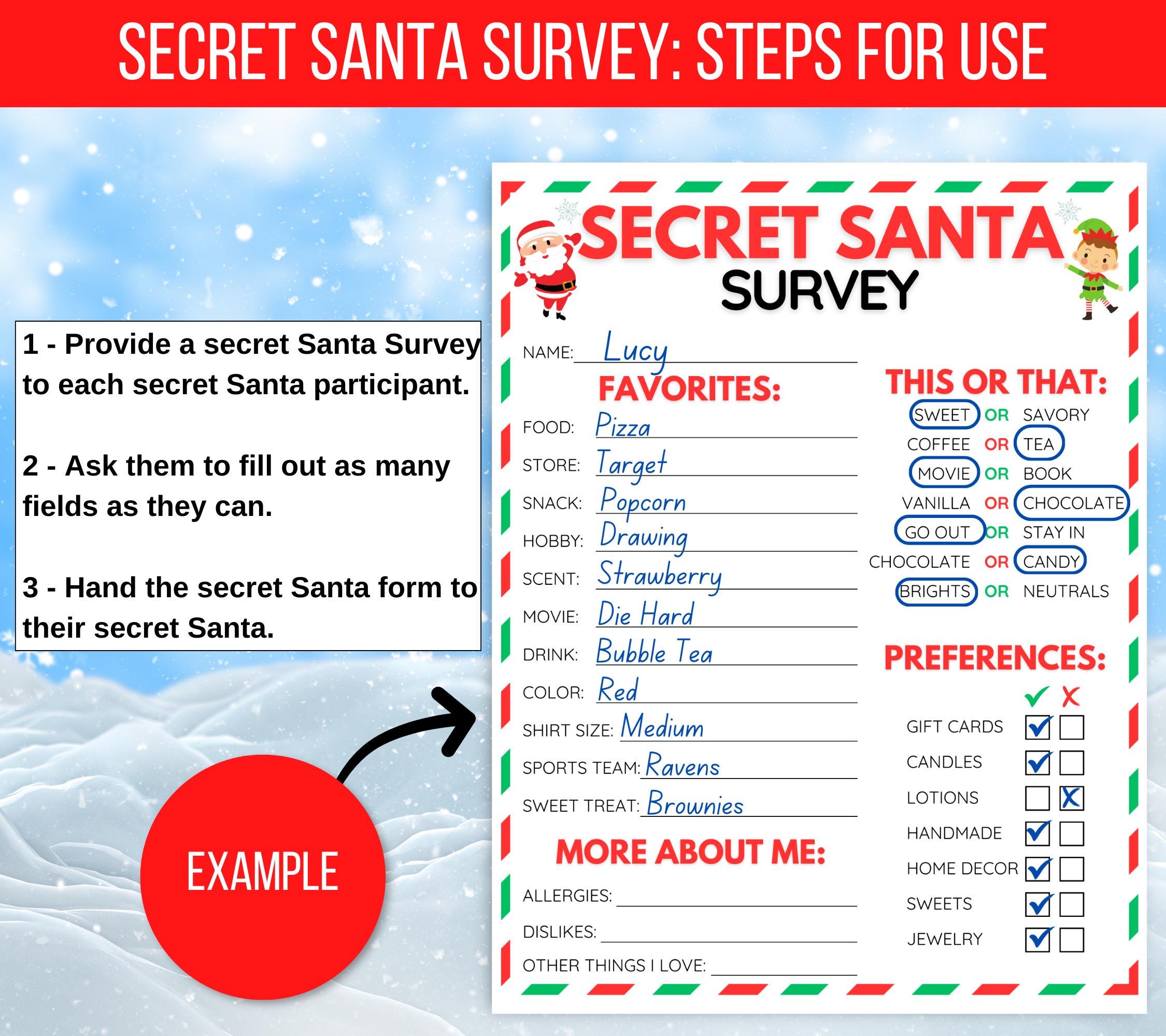 Secret Santa Questionnaire, Printable Secret Santa Survey, Gift ...