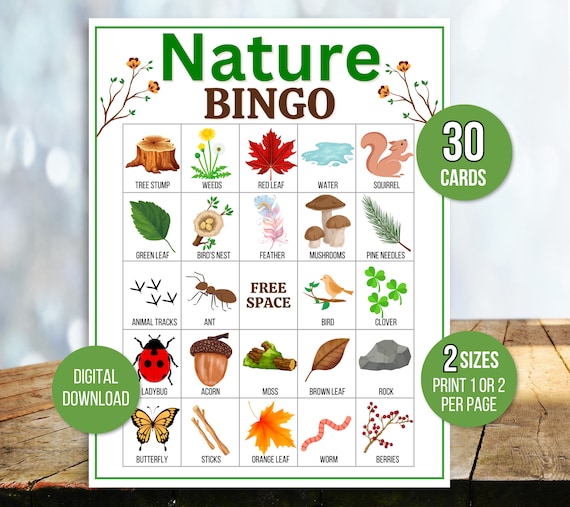 Backyard Bird Bingo Game (Printable) - Nature Inspired Learning👧 ...