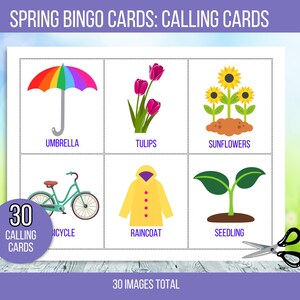 Printable Spring Bingo, 30 Spring Bingo Cards, Spring Activity for Kids ...