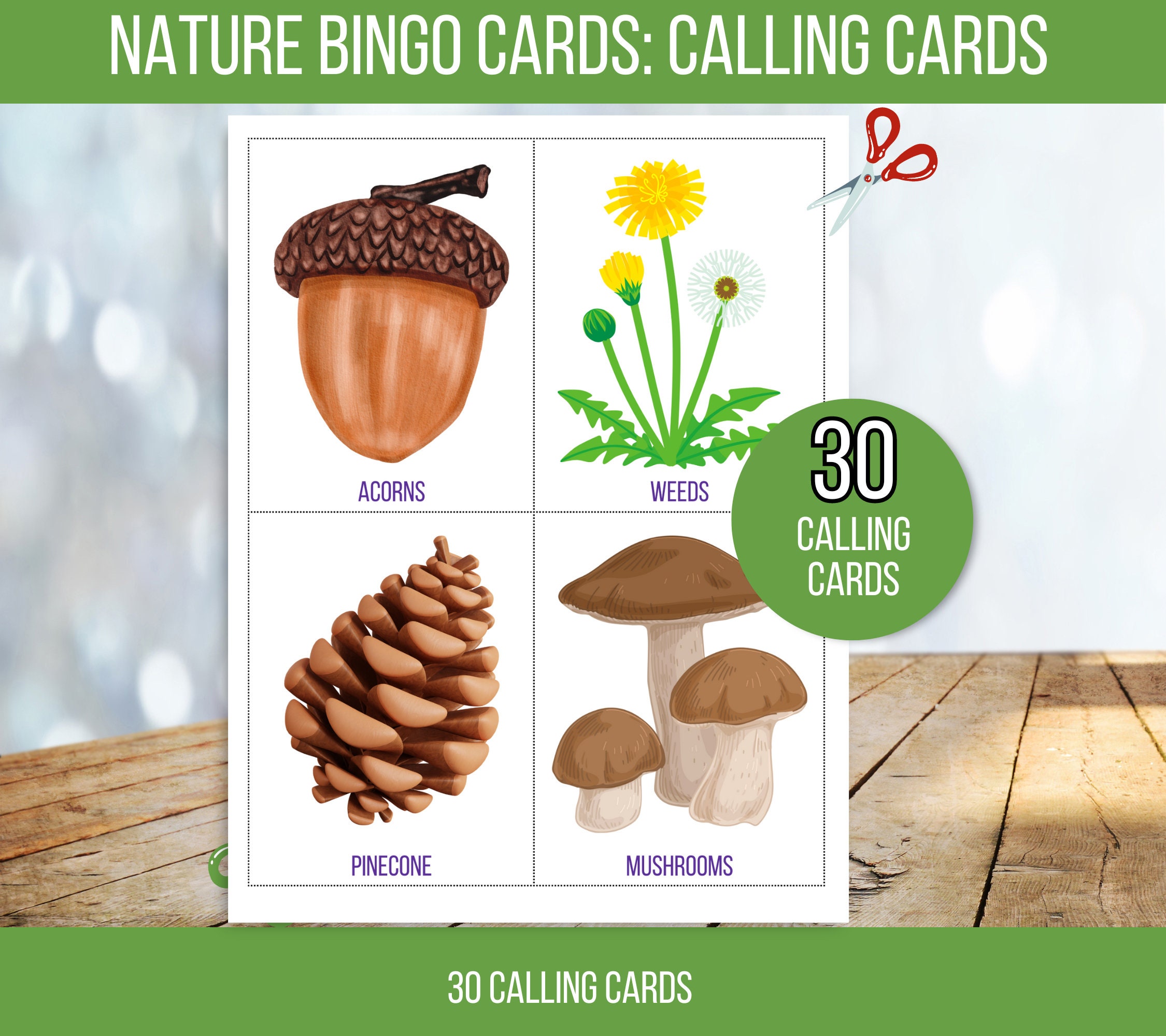Nature Bingo, 30 Printable Nature Bingo Cards, Nature Party Game ...