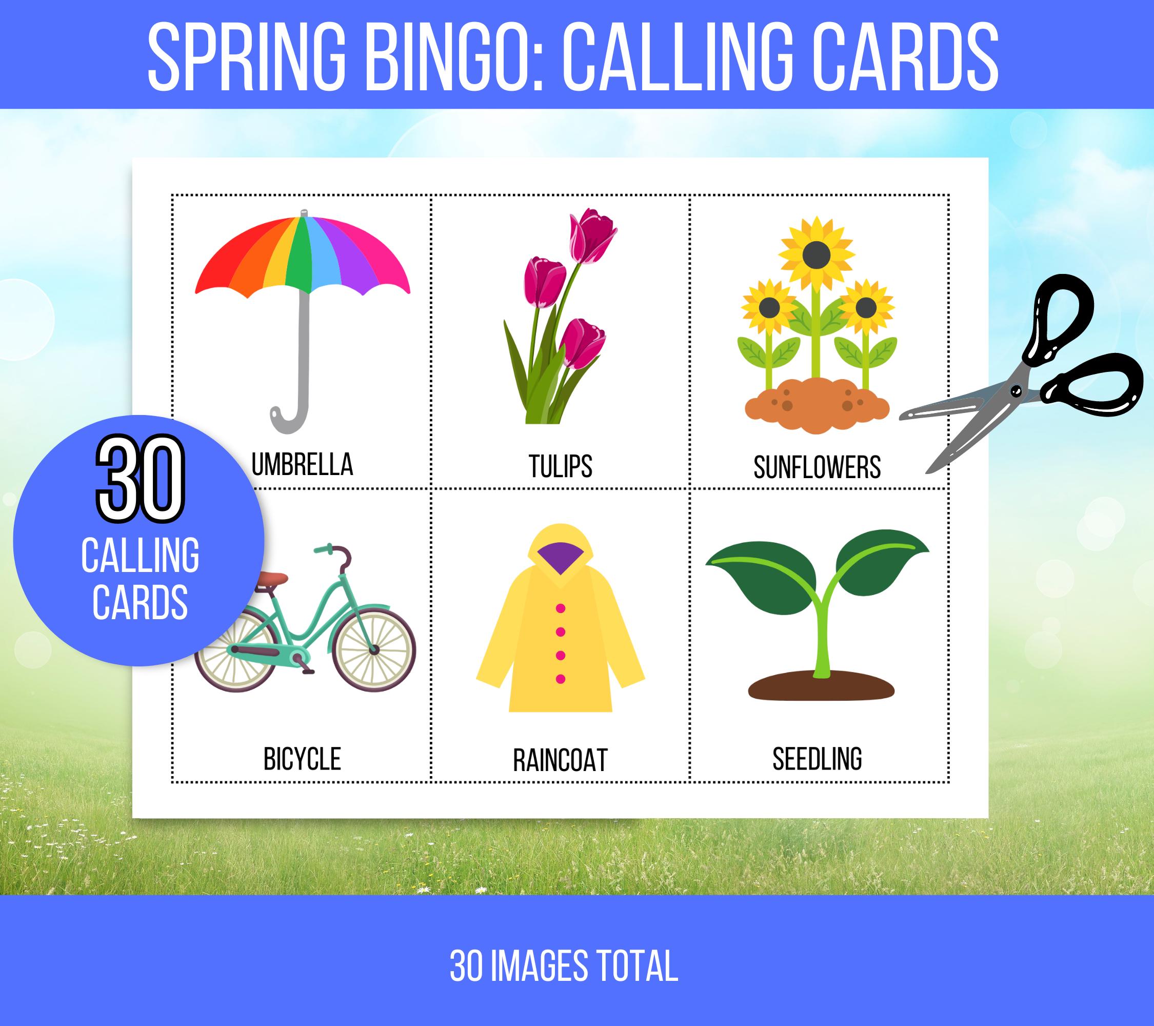 Spring Bingo, 30 Printable Spring Bingo Cards, Spring Party Game ...