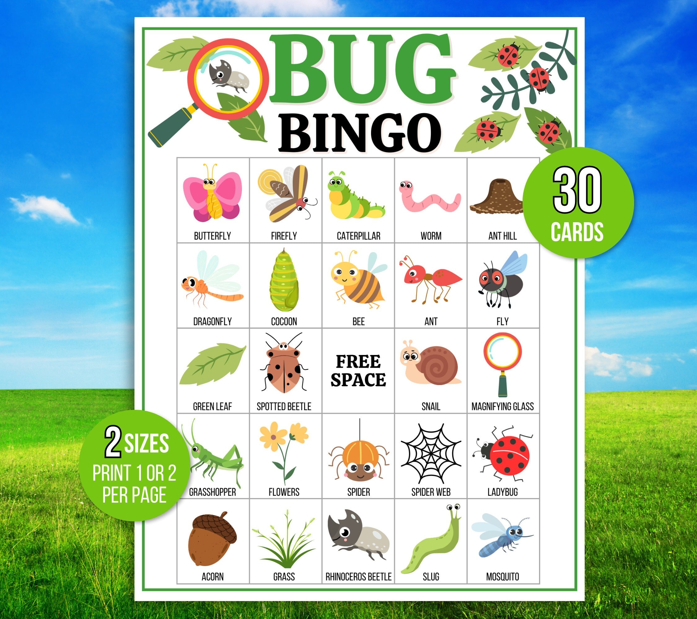 Bug Bingo, 30 Printable Bug Bingo Cards, Insect Bingo, Nature Bingo ...