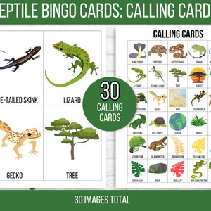 Reptile Bingo, 30 Printable Reptile Bingo Cards, Reptile Party Game ...