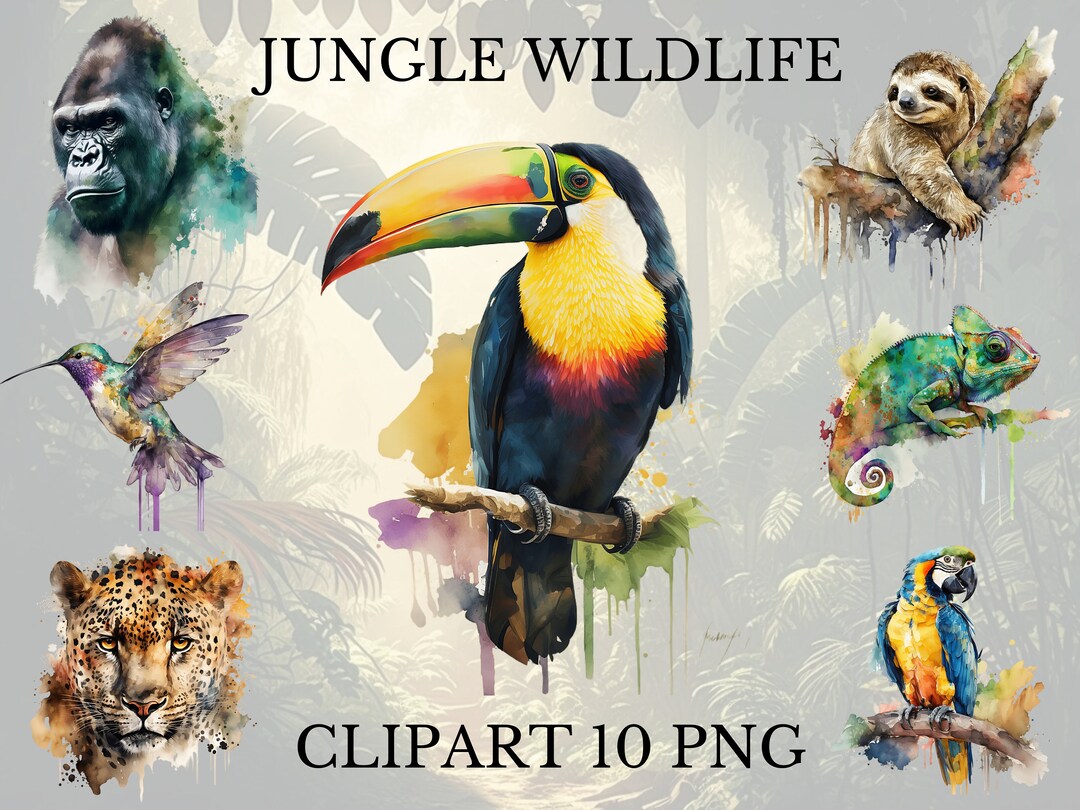 Jungle Wildlife Clipart, Jungle Animals Clipart Set, Commercial Use ...