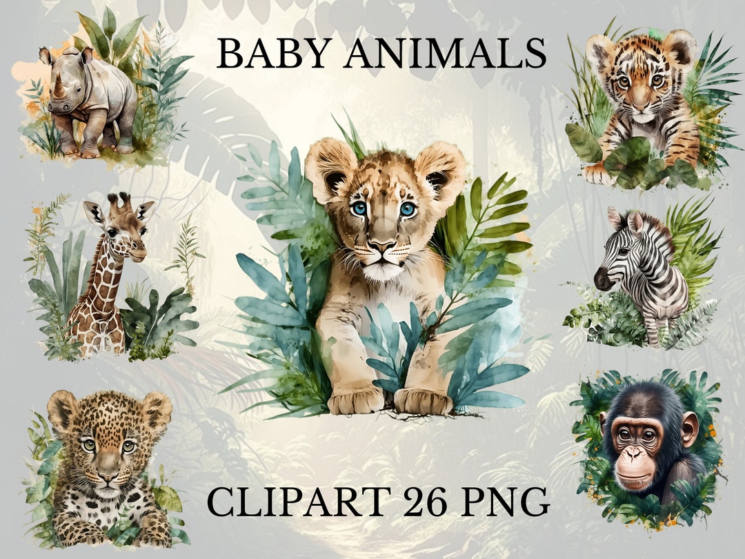 Baby Animal Clipart, Cute Baby Lion Png, Jungle Animals Clipart ...