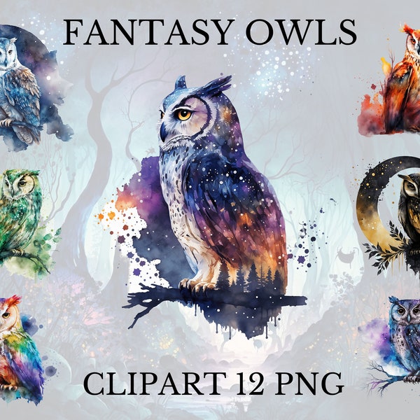 Digital Owl Clipart - Etsy