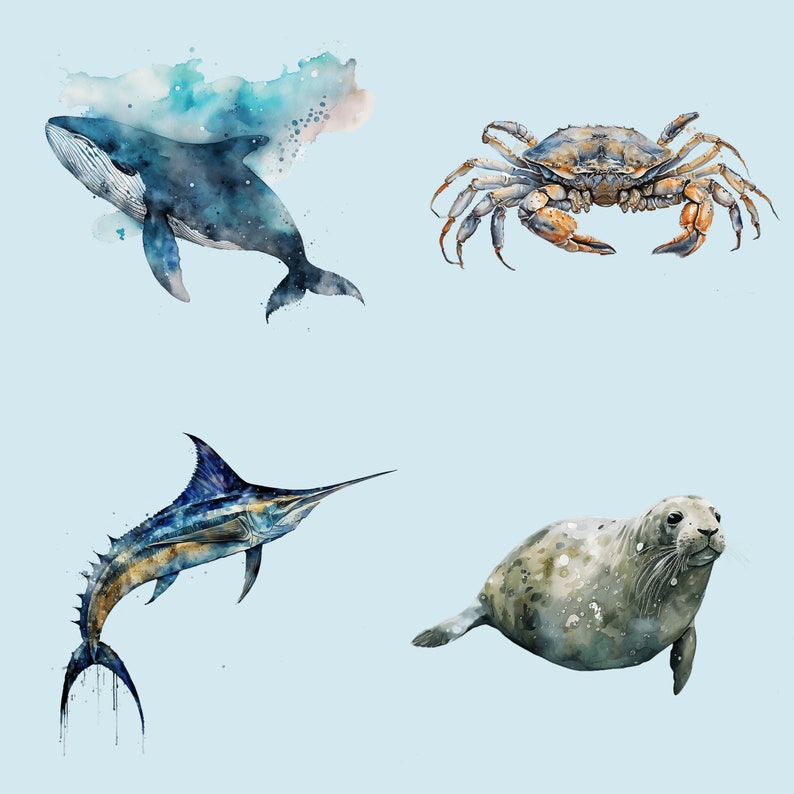 Ocean Wildlife Clipart Fish Clipart Set Whale Png Dolphin - Etsy