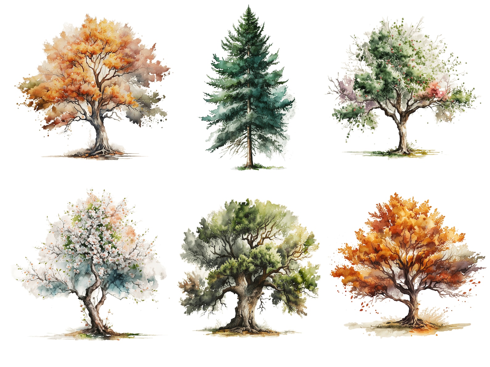 Watercolor Trees Clipart Tree Clipart Bundle Watercolor Oak - Etsy