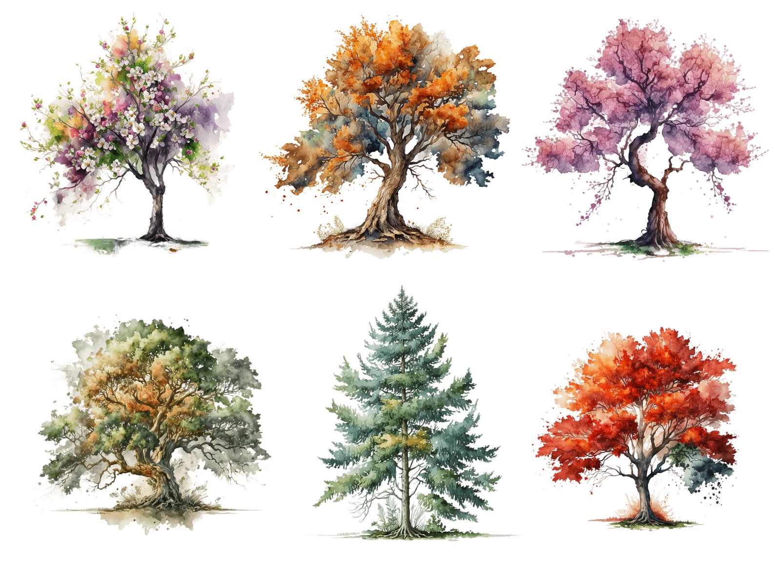 Watercolor Trees Clipart Tree Clipart Bundle Watercolor Oak - Etsy