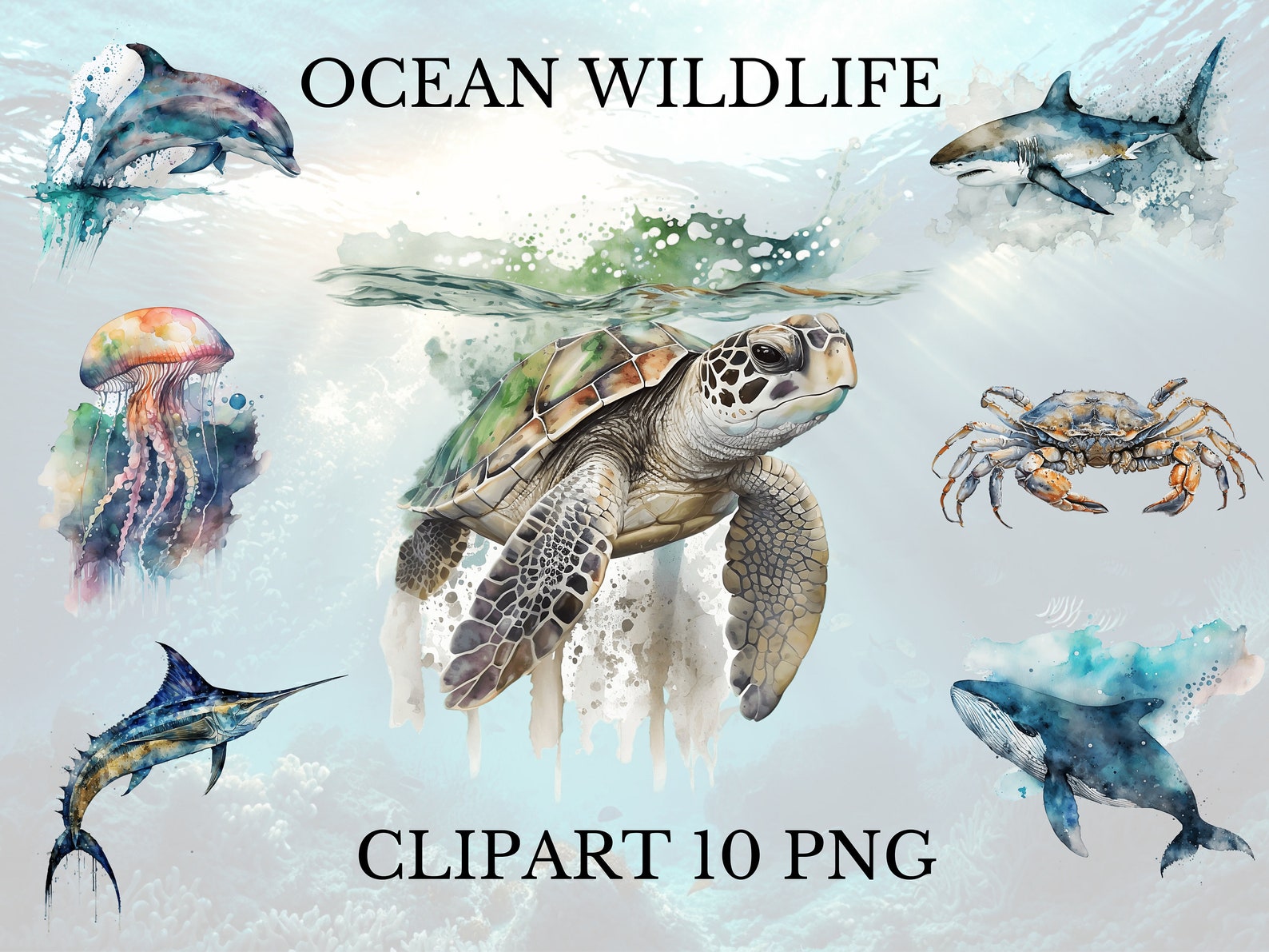 Ocean Wildlife Clipart, Fish Clipart Set, Whale Png, Dolphin Clipart ...
