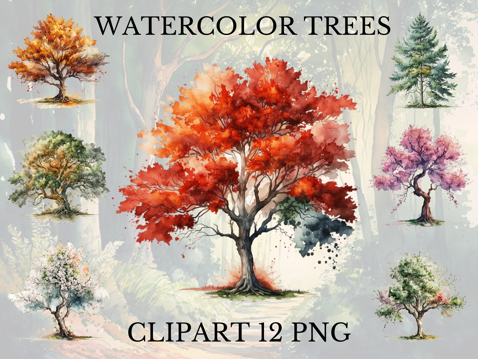 Watercolor Trees Clipart Tree Clipart Bundle Watercolor Oak - Etsy