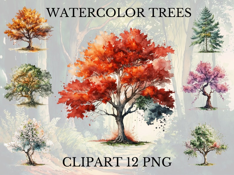 Watercolor Trees Clipart Tree Clipart Bundle Watercolor Oak - Etsy