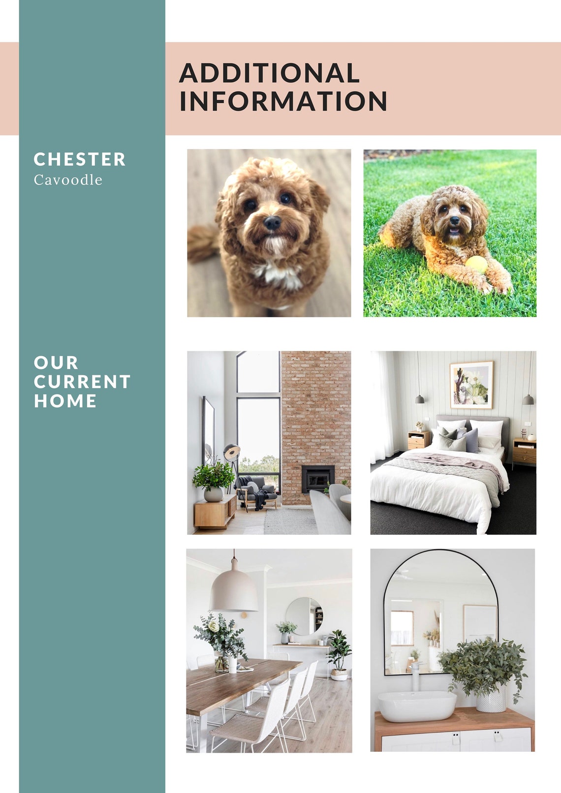 Personalised Rental Cover Letter - Tenant Resume - Rental Application ...