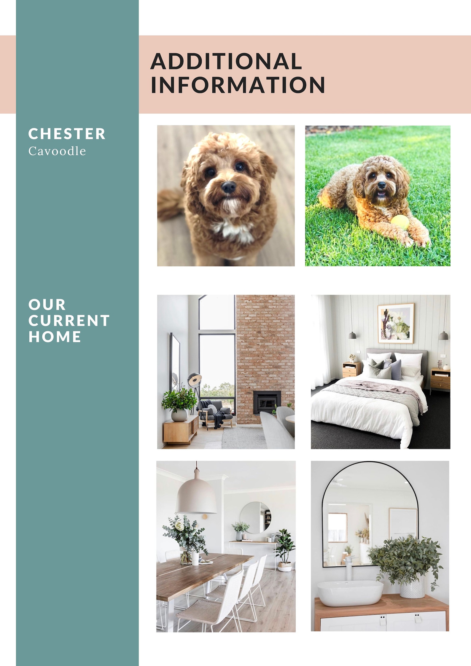 Personalised Rental Cover Letter - Tenant Resume - Rental Application ...