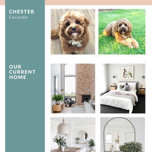 Personalised Rental Cover Letter - Tenant Resume - Rental Application ...