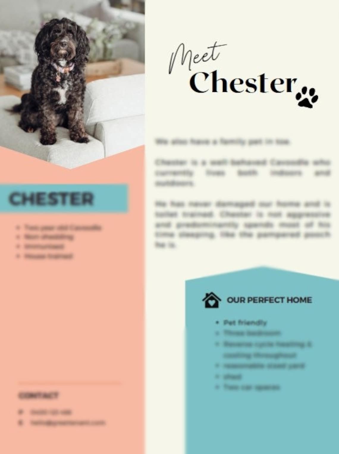 Personalised Rental Cover Letter - Tenant Resume - Rental Application ...