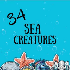 34 Digital Sea Creature Stickers PNG and Goodnotes Files Ocean Life ...