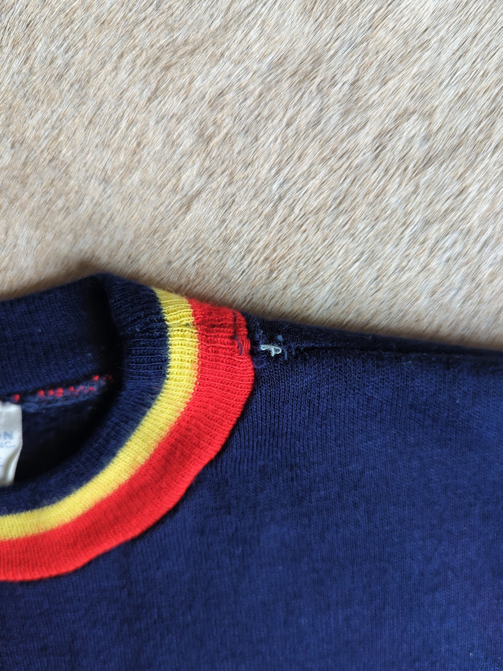 60's Champion Varsity Ringer Short Sleeve Sweatshirt Petersburg High ...