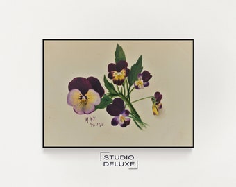 Bronze Pansy Flower Art Print Botanical Watercolors Illustration ...