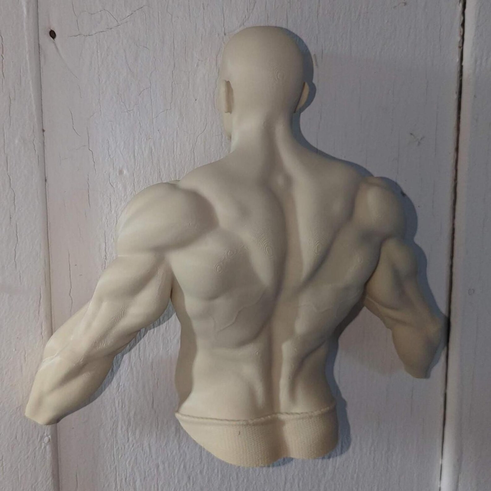 Muscular Back Sculpture: Stone/marble Finish Anatomy Art - Etsy