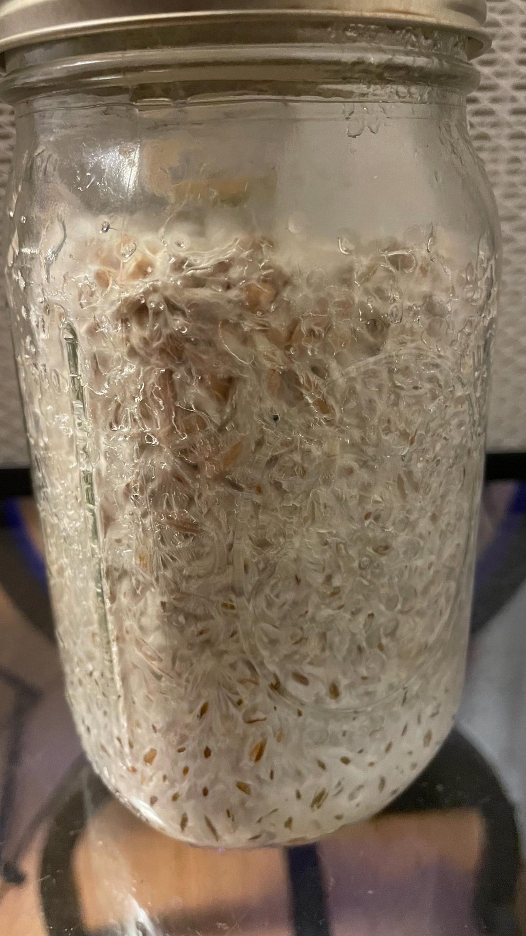 Colonized Grain Jar APE Cross - Etsy