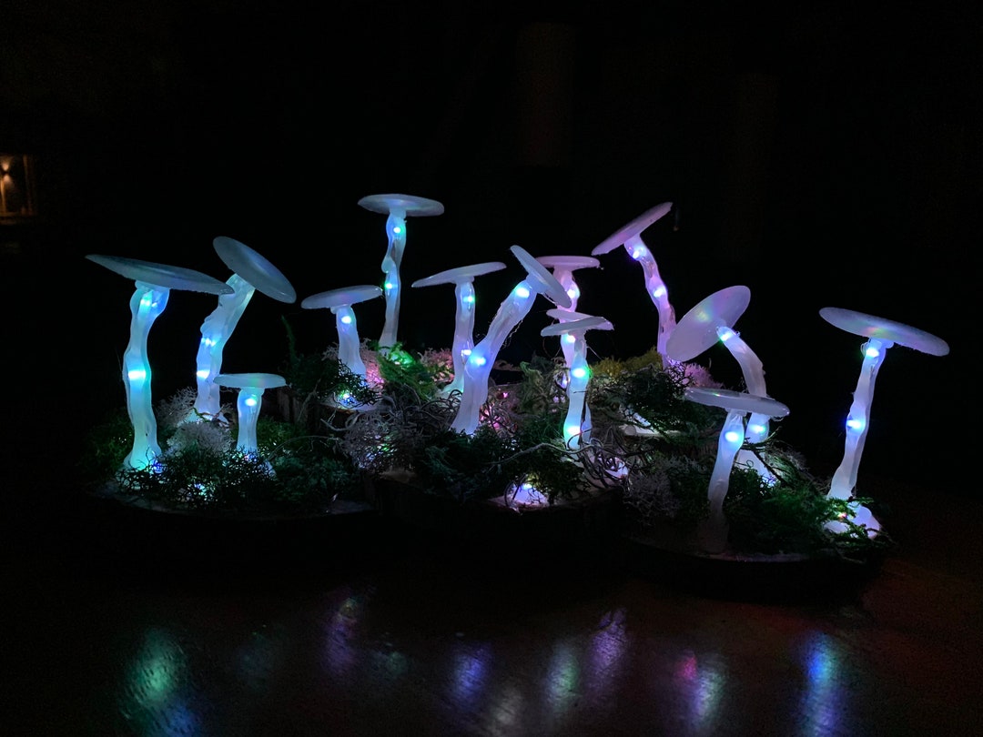 Color Changing Mushroom Light With Red Blue Green Purple Pink Yellow ...