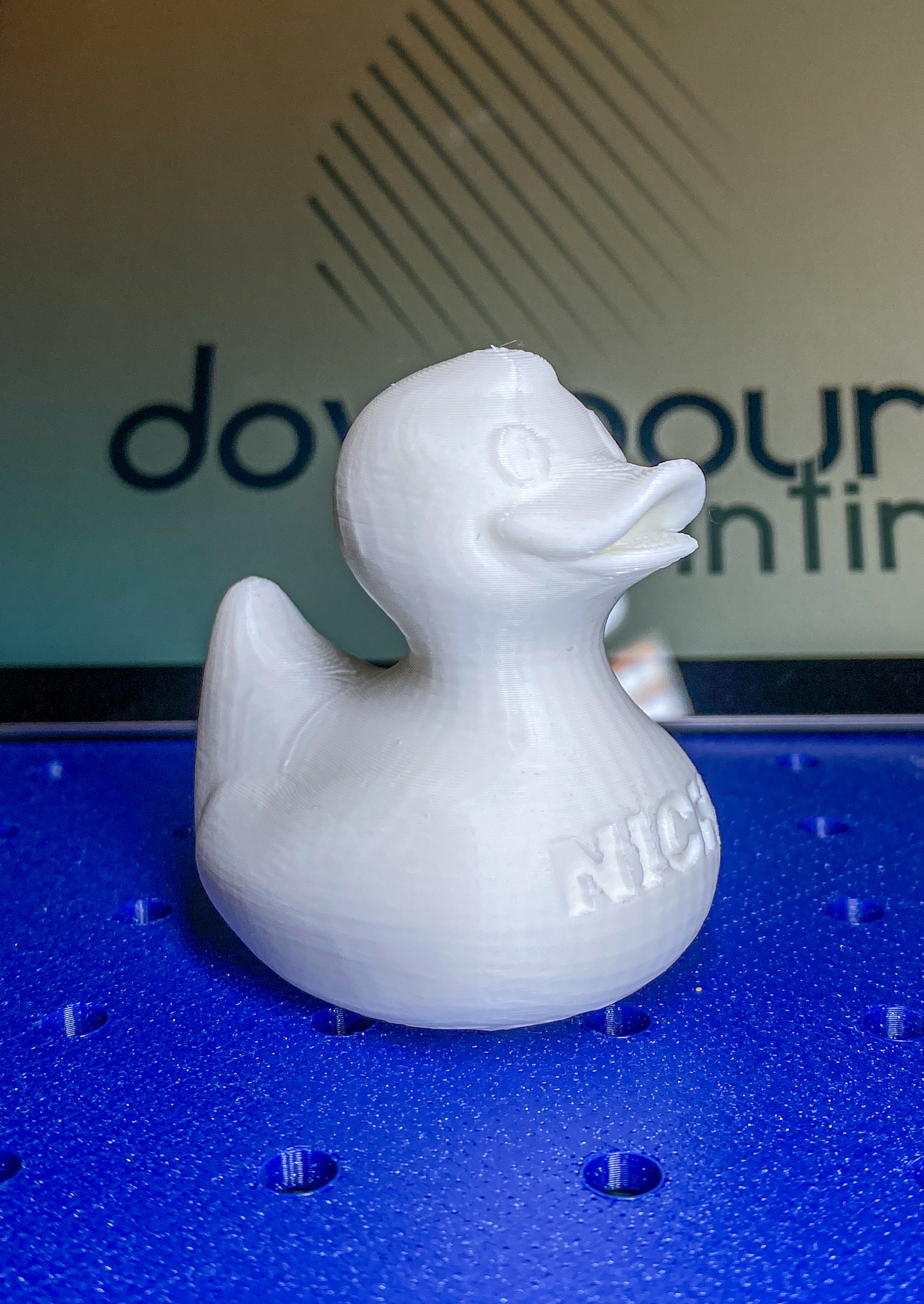 Custom Ducks for Jeeps, 3D Printed Ducks, Personalized Duck for Duck ...