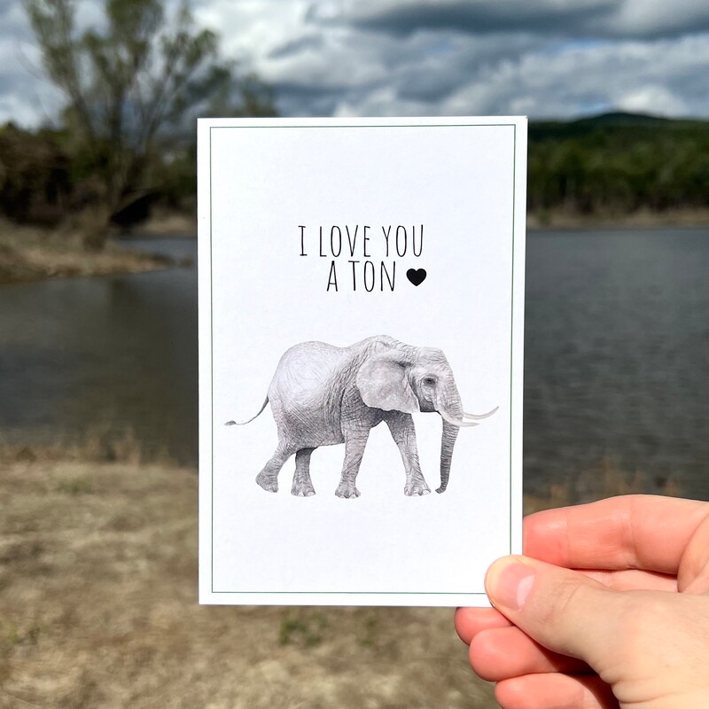 Elephant Cards - Etsy