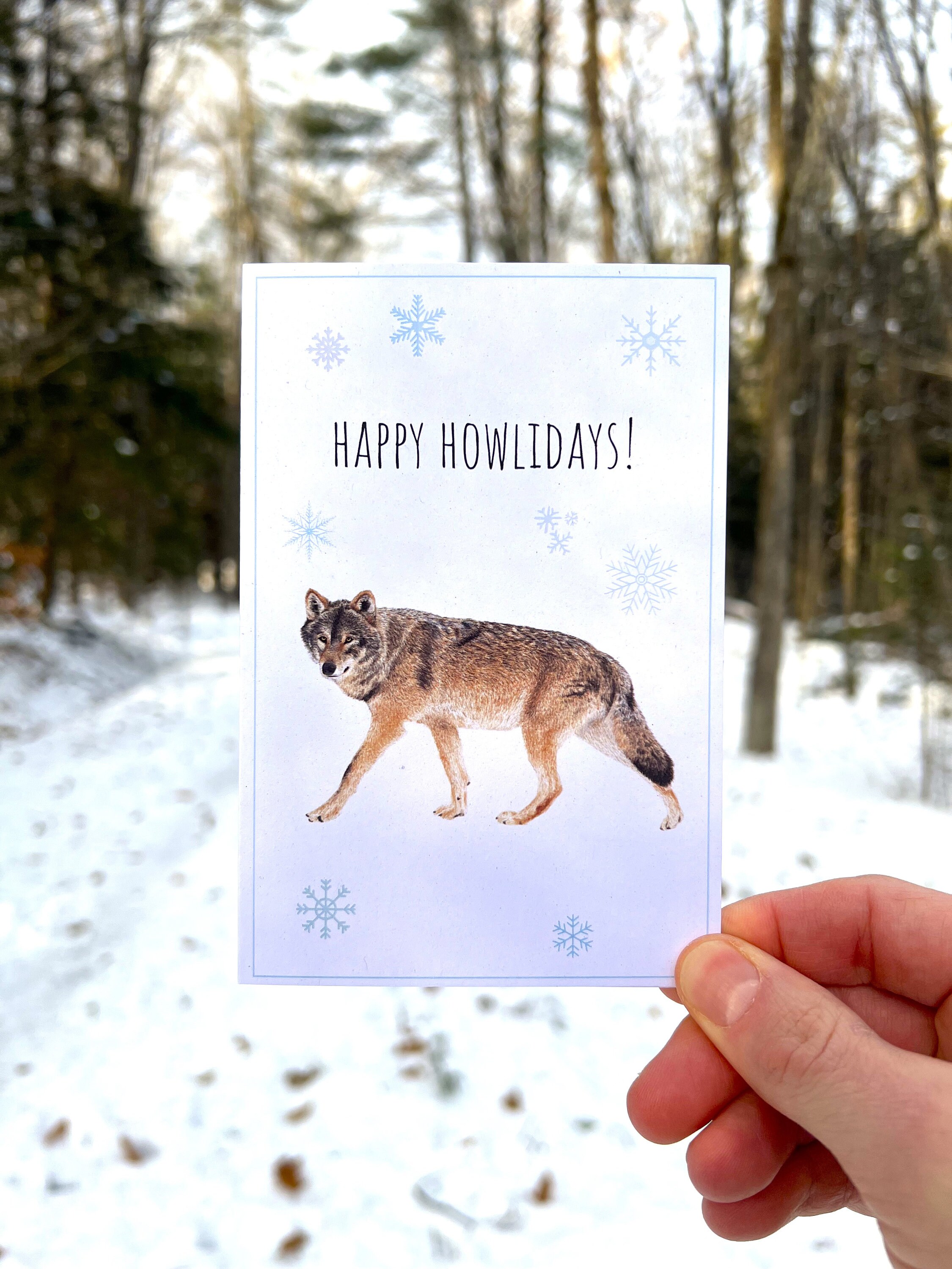 Watercolor Gray Wolf Sticker Gray Wolf Lover Gift Save the - Etsy