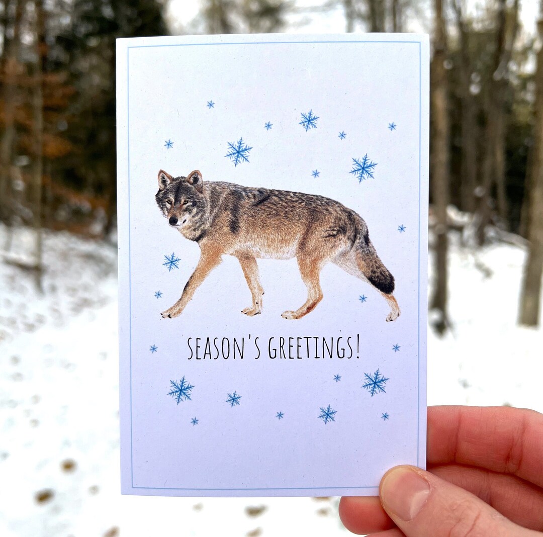 Gray Wolf Holiday Card, Wolf Christmas Card, Season's Greetings Card ...