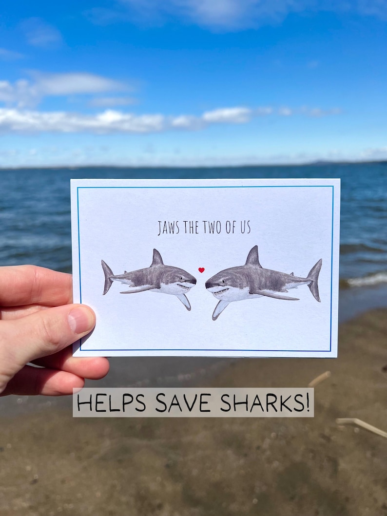 Funny Shark Love Card, Great White Valentine Card, Jaws the Two of Us ...