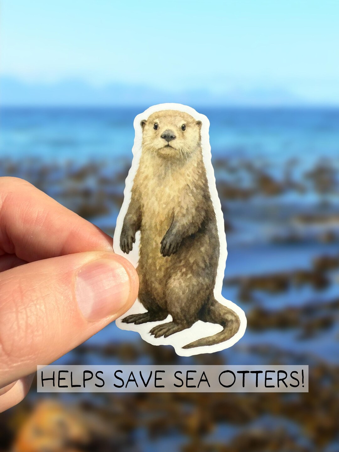 Sea Otter Sticker, Watercolor Sea Otter Decal, Cute Otter Sticker ...