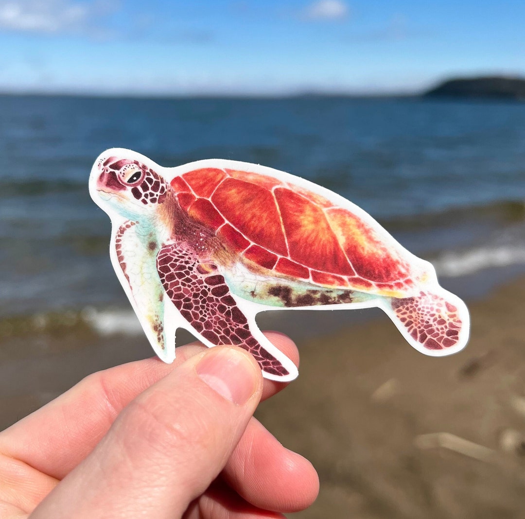 Watercolor Sea Turtle Sticker, Sea Turtle Lover Gift, Save the Sea ...