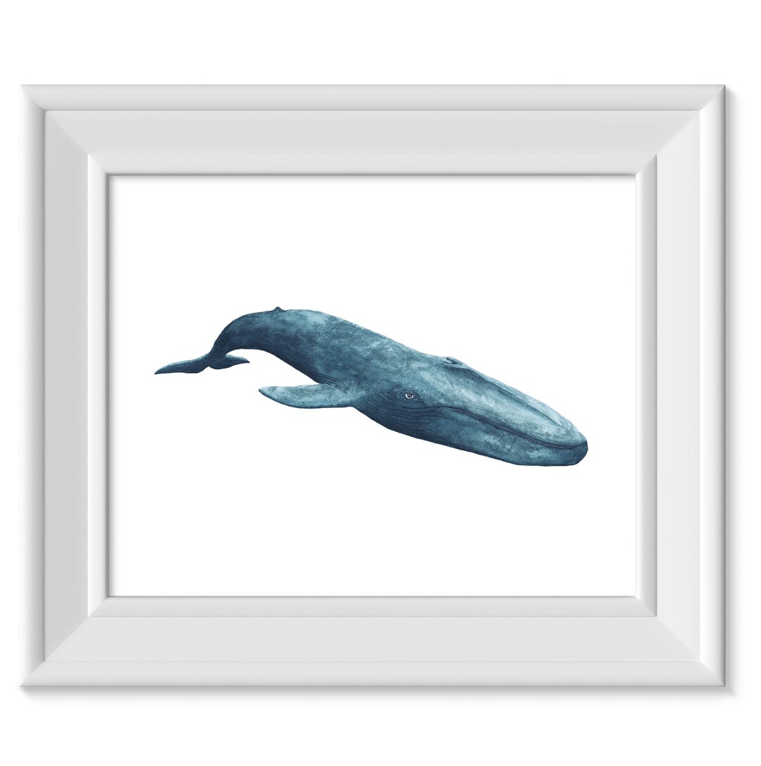 Blue Whale Art Print, Watercolor Blue Whale Wall Art, Wildlife ...