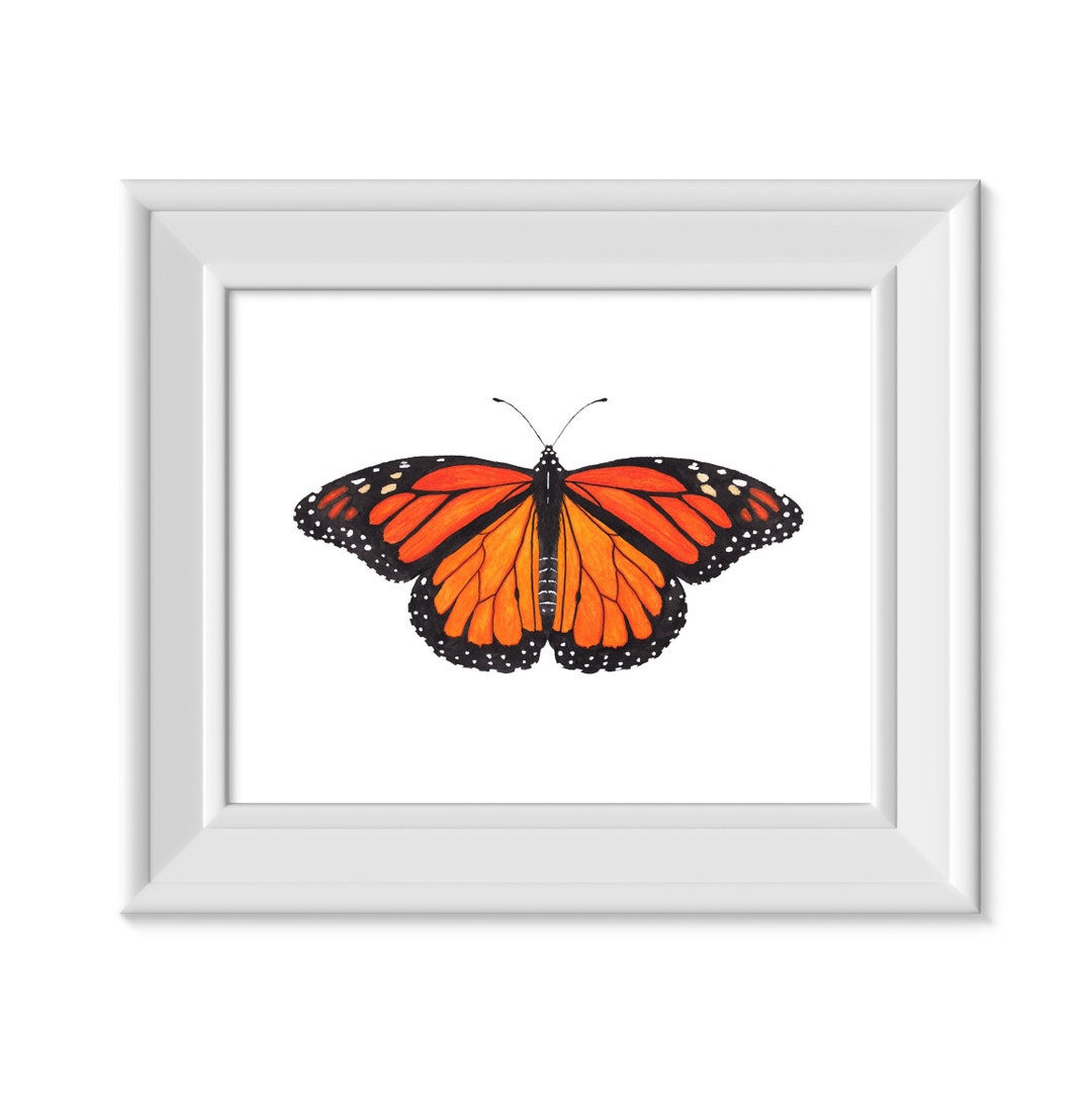 Monarch Butterfly Digital Print, Monarch Butterfly Wall Art, Save the ...