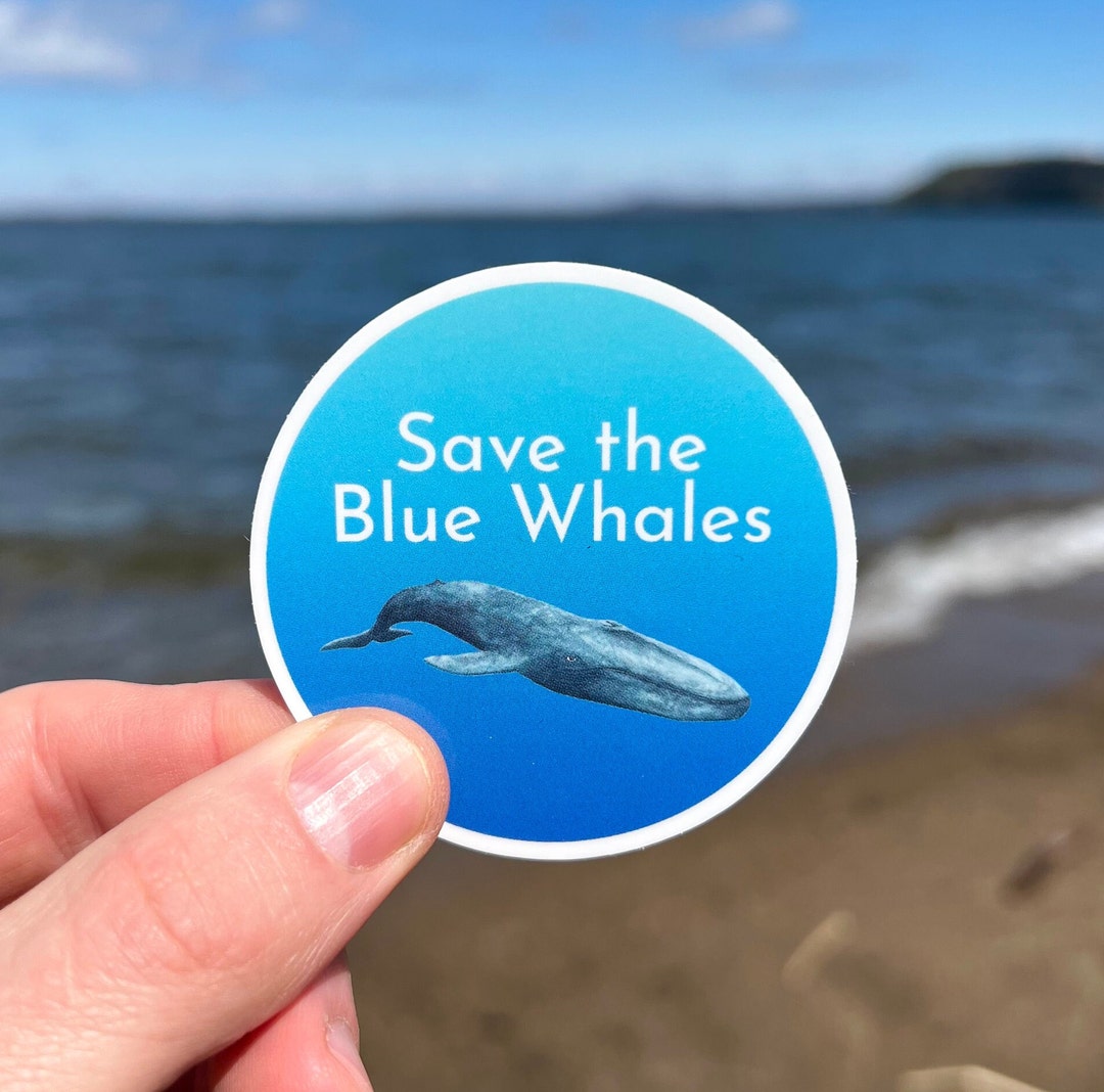 Watercolor Blue Whale Sticker, Blue Whale Lover Gift, Save the Blue ...