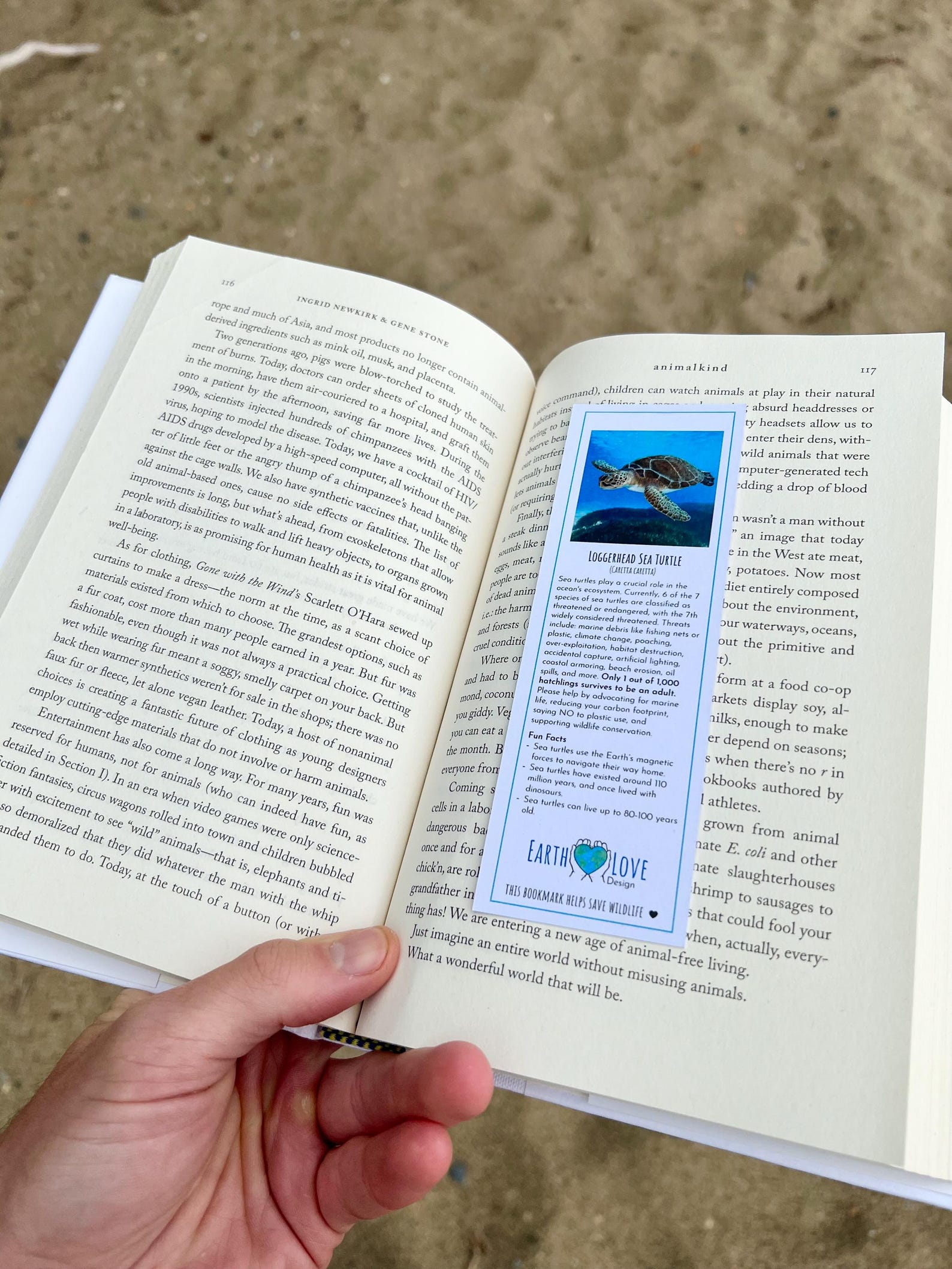 Watercolor Loggerhead Sea Turtle Bookmark, Endangered Species Bookmark ...