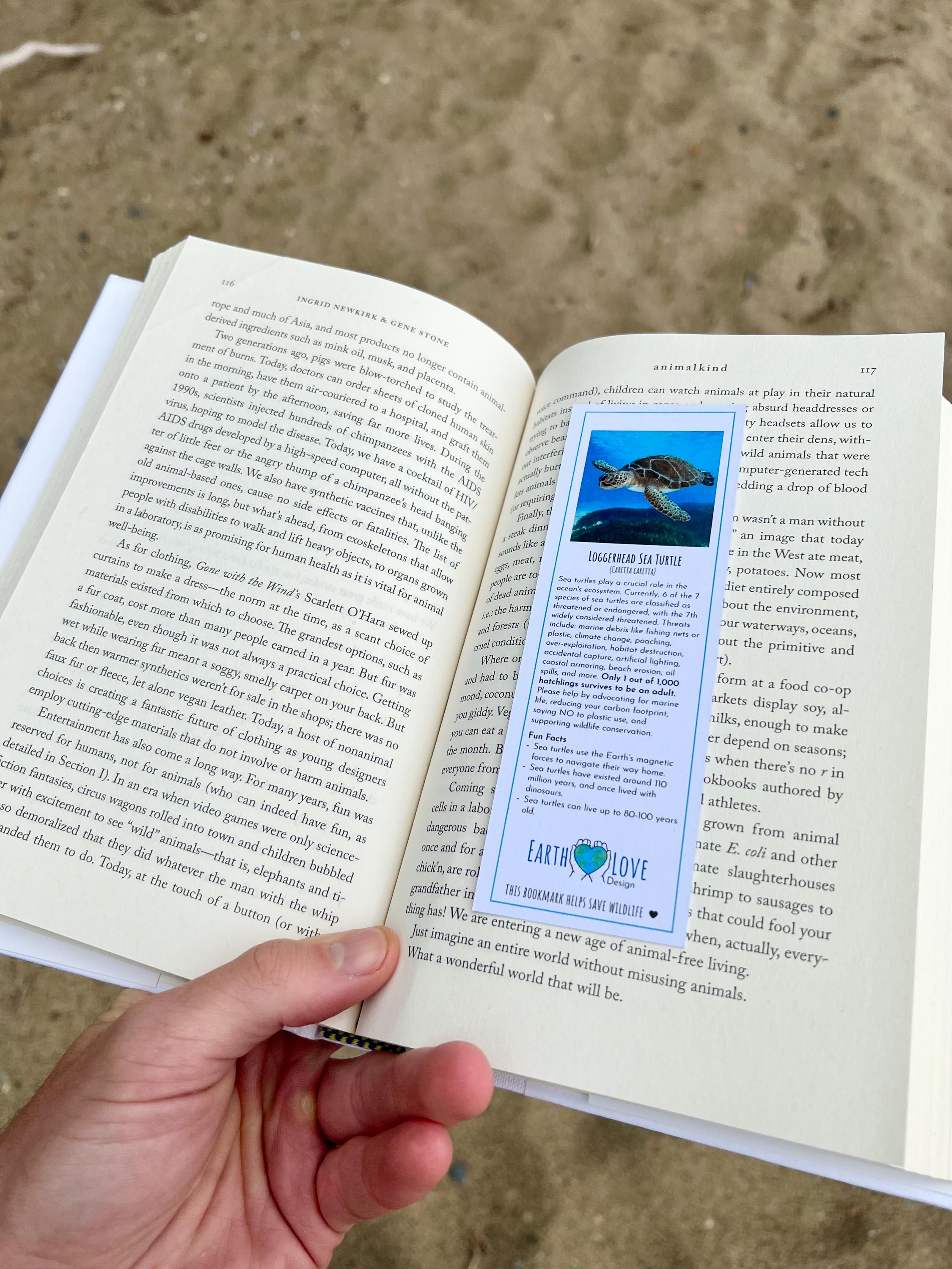 Watercolor Loggerhead Sea Turtle Bookmark, Endangered Species Bookmark ...