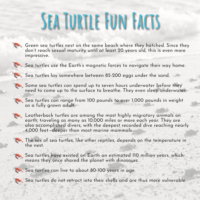 Sea Turtle Pun Card, Sea Turtle Greeting Card, Watercolor Sea Turtle ...