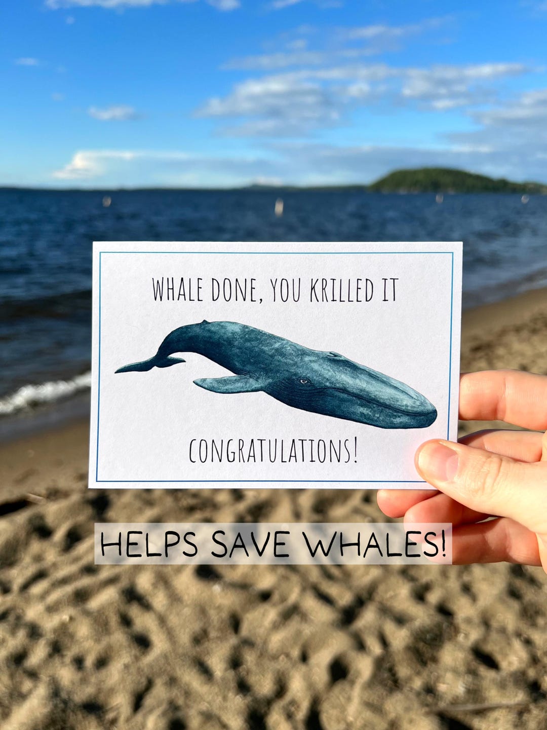 Funny Whale Congratulations Card, Graduation Card, Blue Whale Pun Card ...