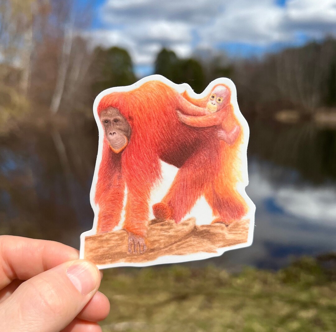 Watercolor Orangutan Sticker, Orangutan Lover Gift, Save the Orangutans ...