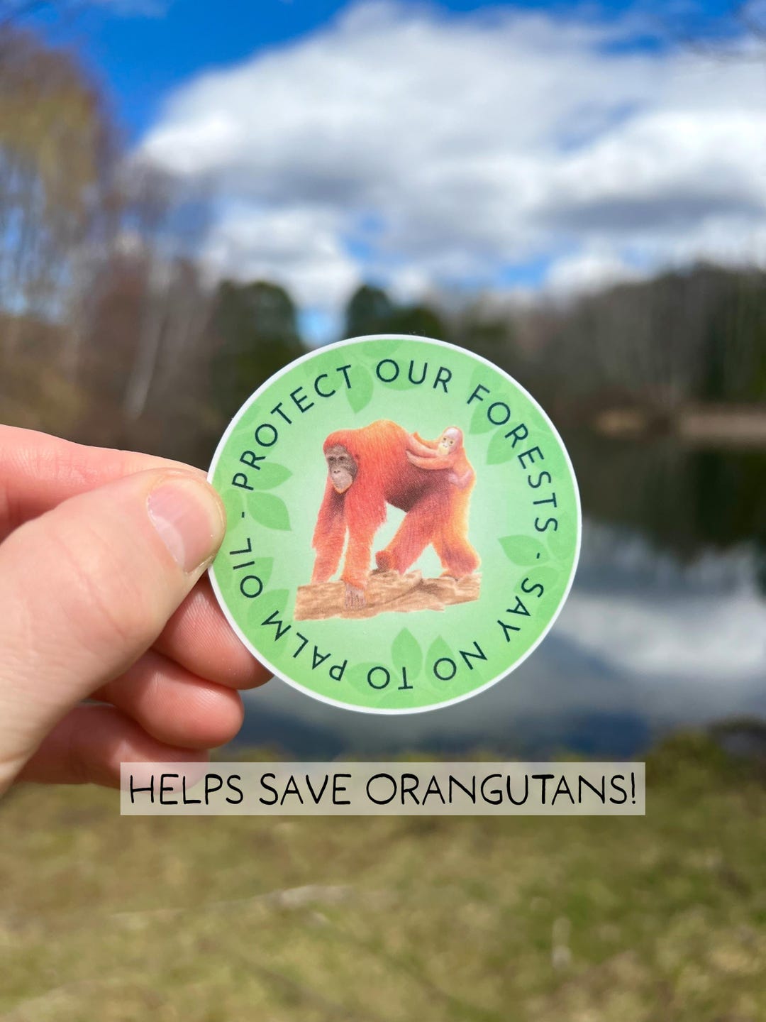 Protect Our Forests, Watercolor Orangutan Sticker, Orangutan Lover Gift ...