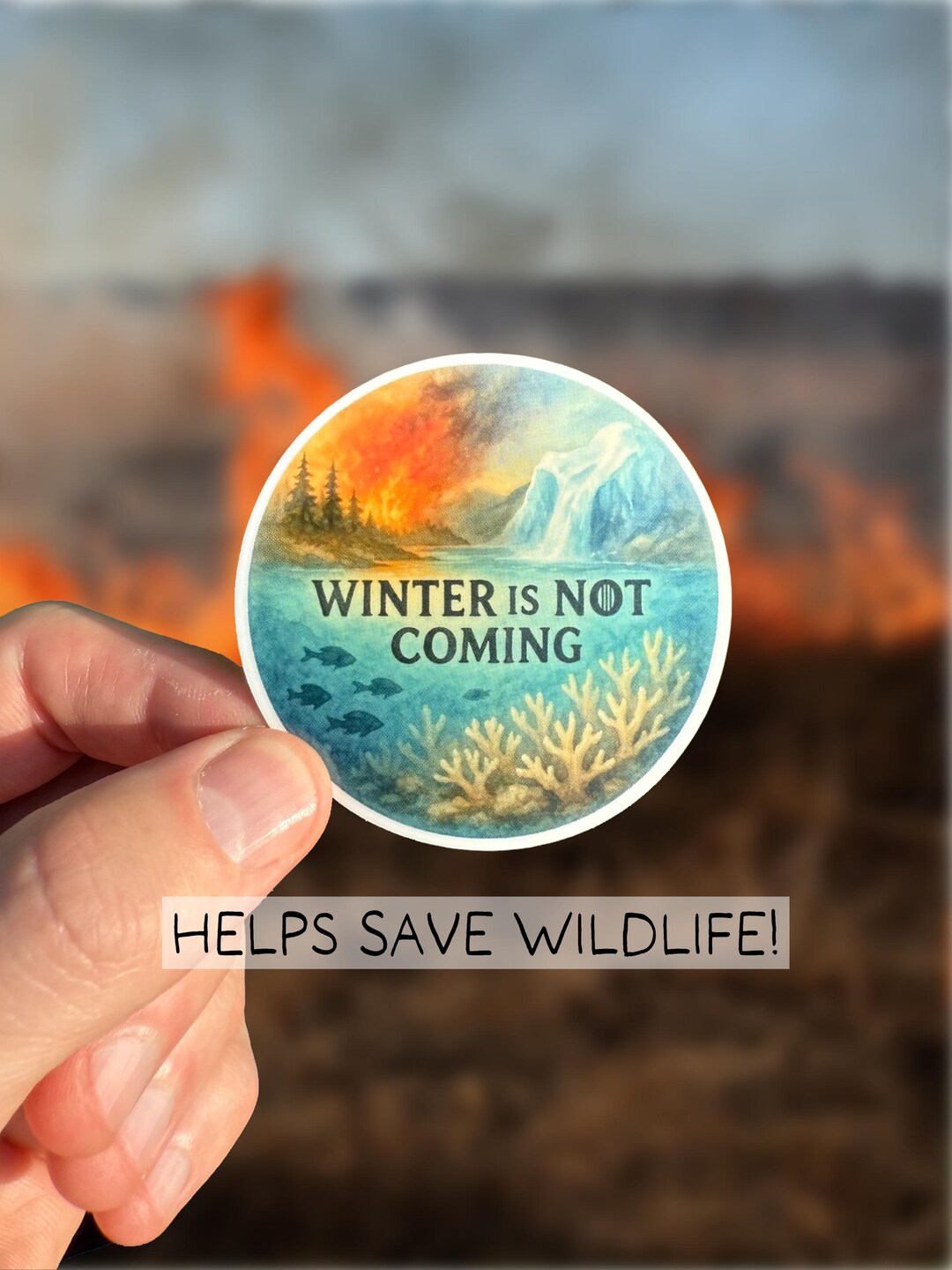 Climate Change Sticker, Save the Earth Sticker, Eco Friendly Decal ...