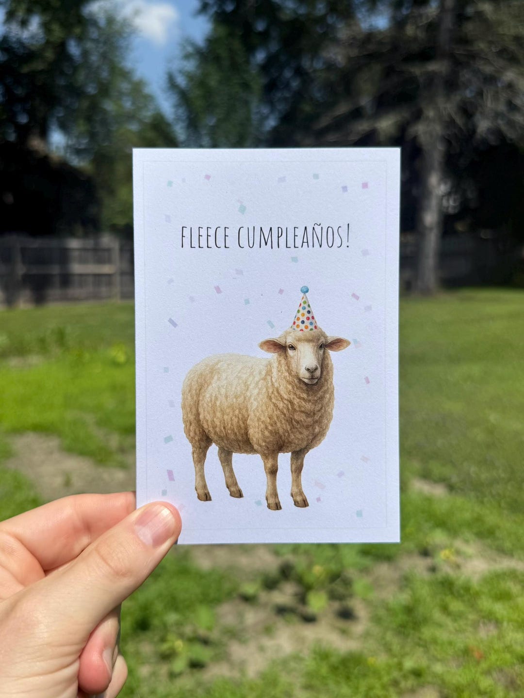 Sheep Birthday Card, Sheep Watercolor Card, Sheep Lover Card, Funny ...