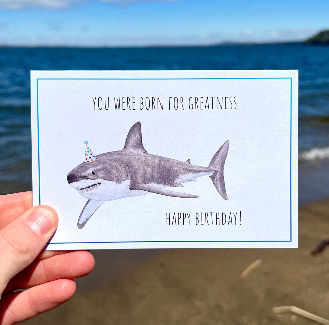 Shark Pun Birthday Card, White Shark Birthday Card, Shark Greeting Card ...