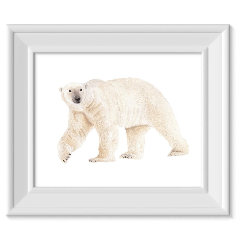 Polar Bear Art - Etsy
