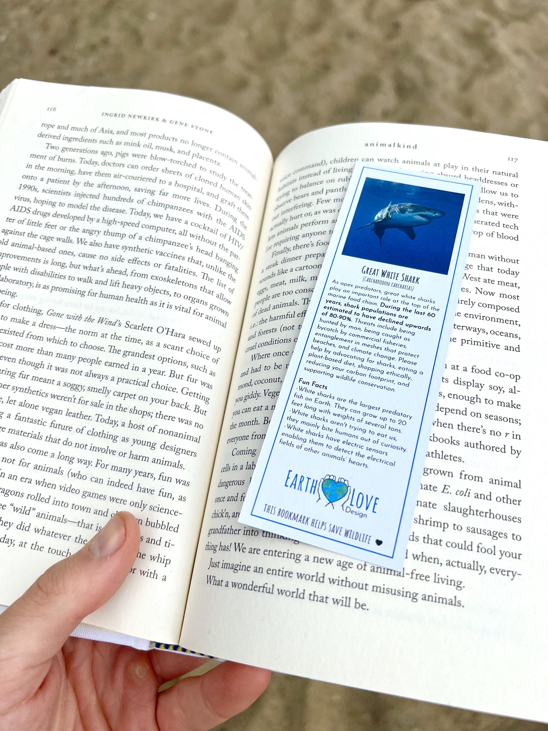 Watercolor Great White Shark Bookmark, Endangered Species Bookmark ...